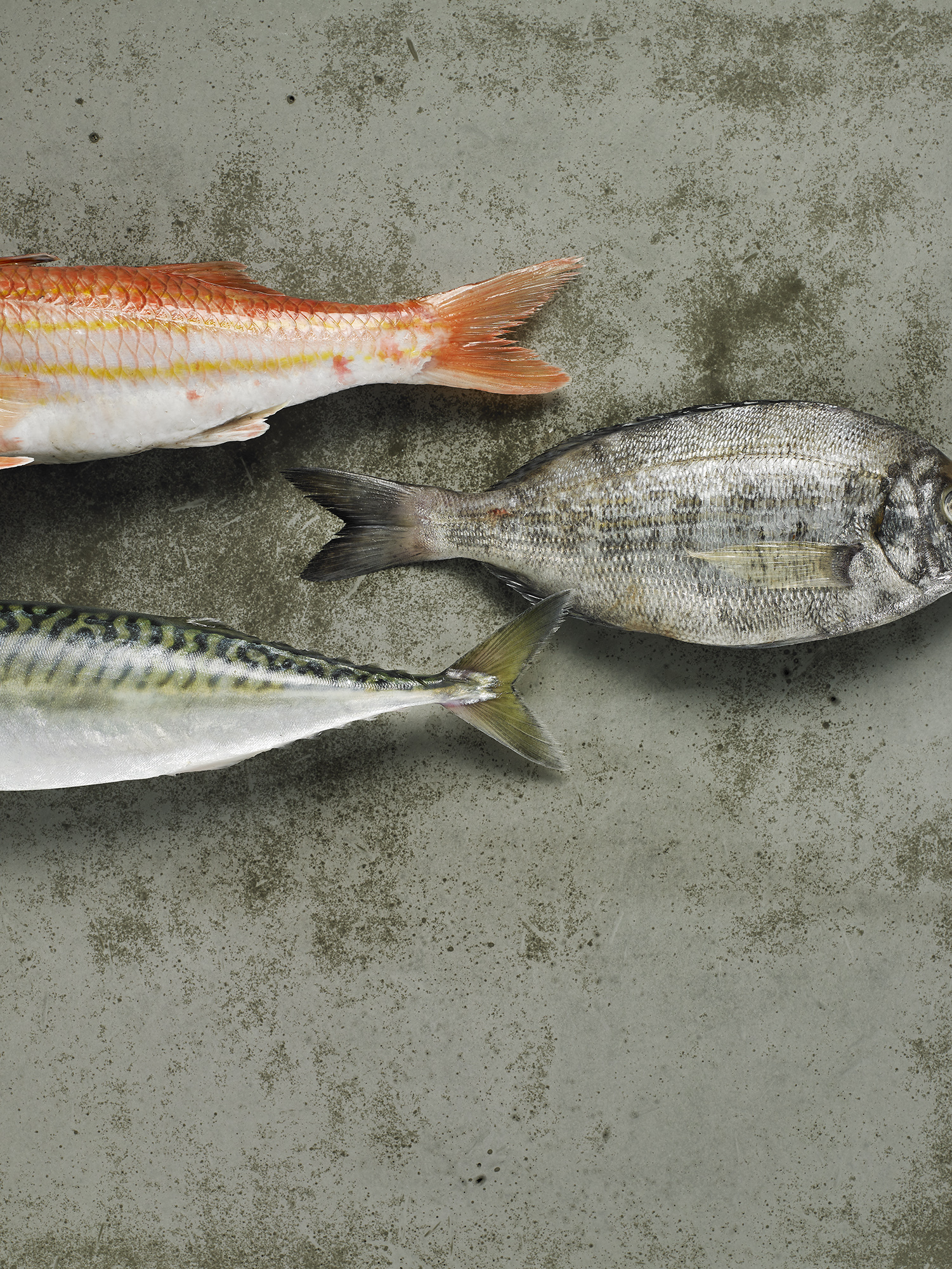 Activiteiten | Nederlands Visbureau