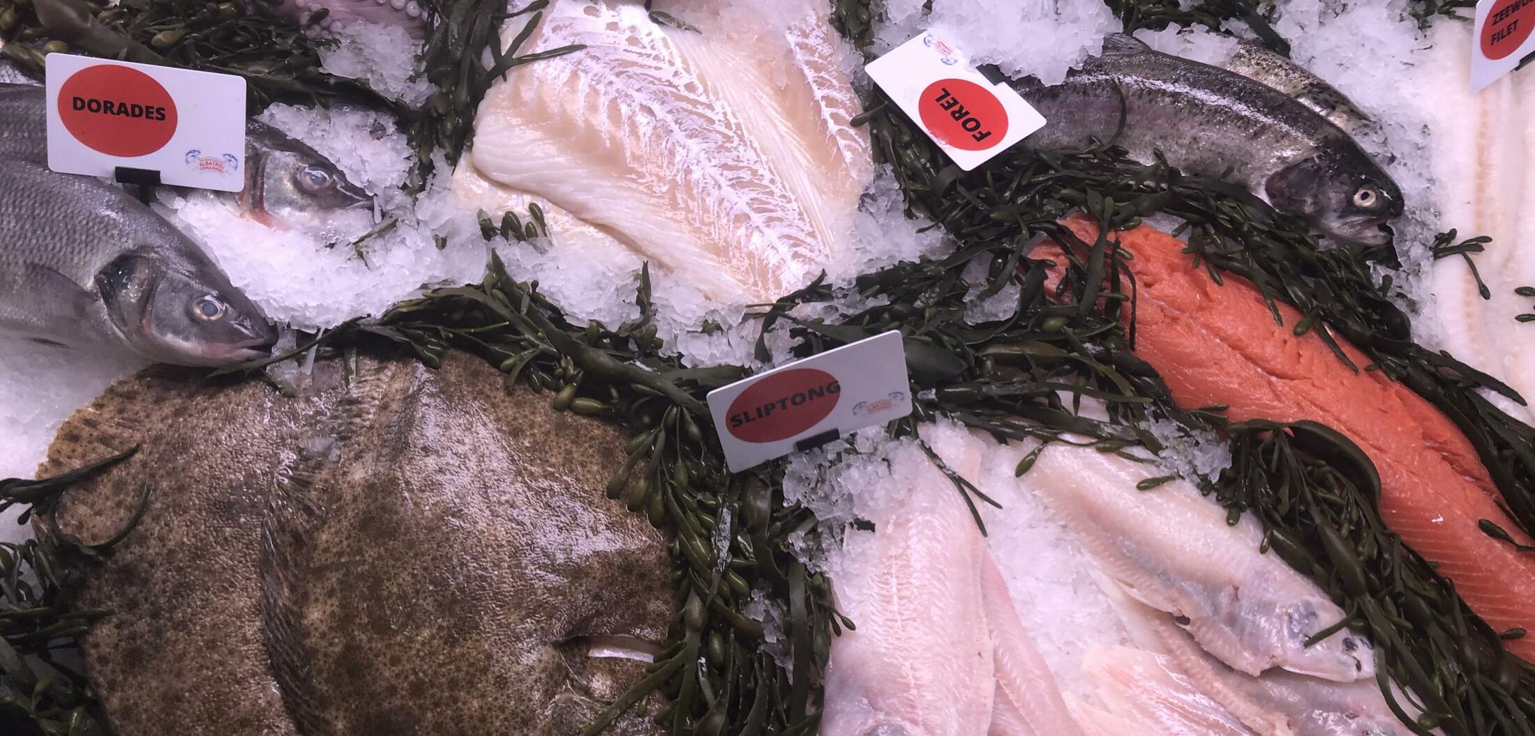 De viswinkel | Nederlands Visbureau