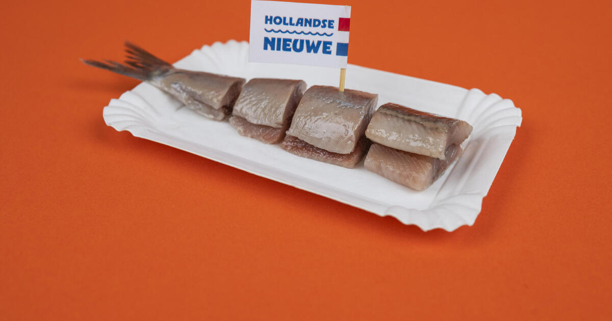 Seizoen Hollandse Nieuwe van start – Haring in de spotlights ...